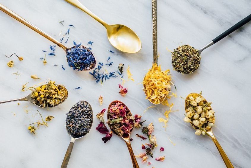 Terry Tea Company | USAHub